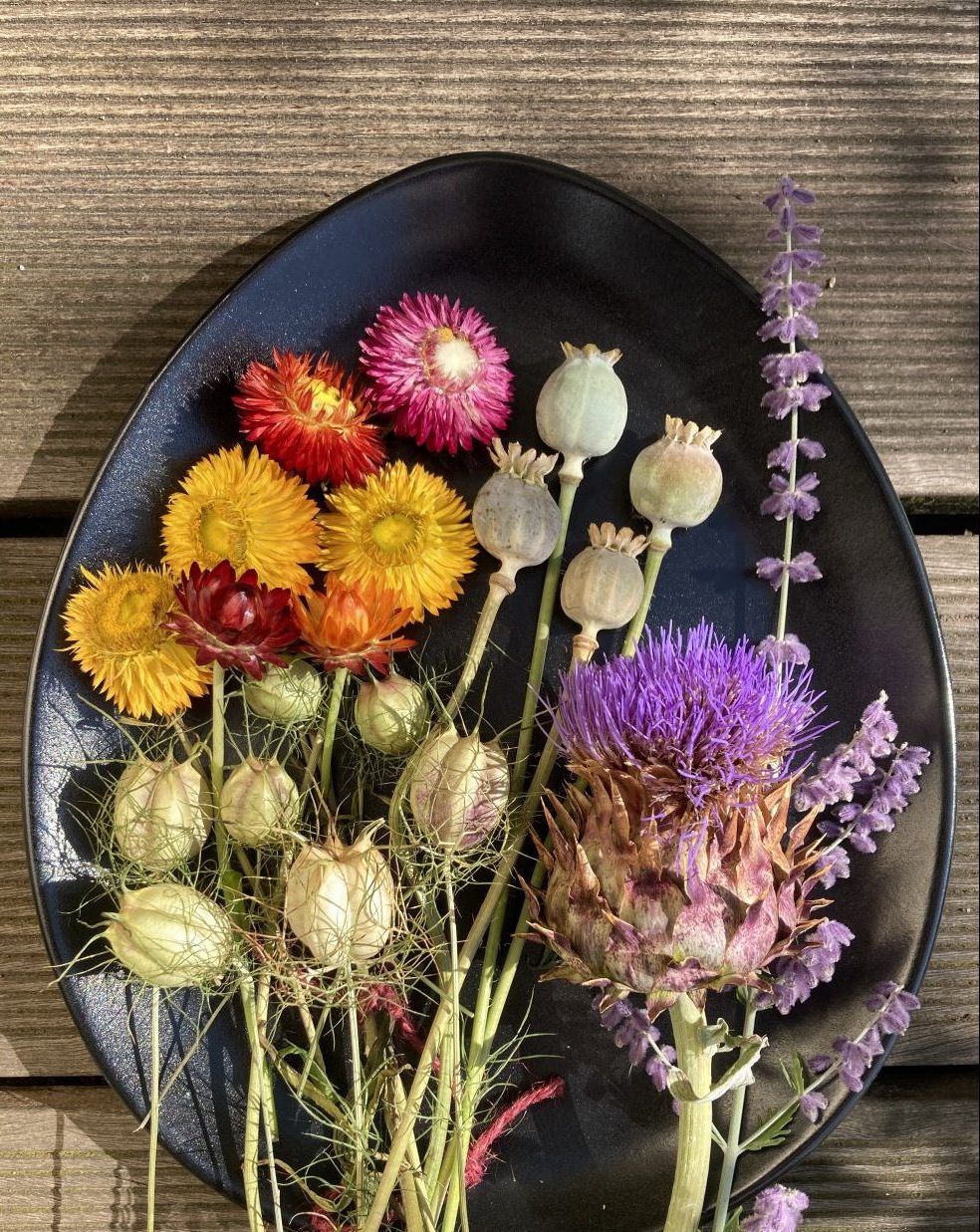 Strohblumen Revival | Edelstein der Blumen, herbstliche Deko