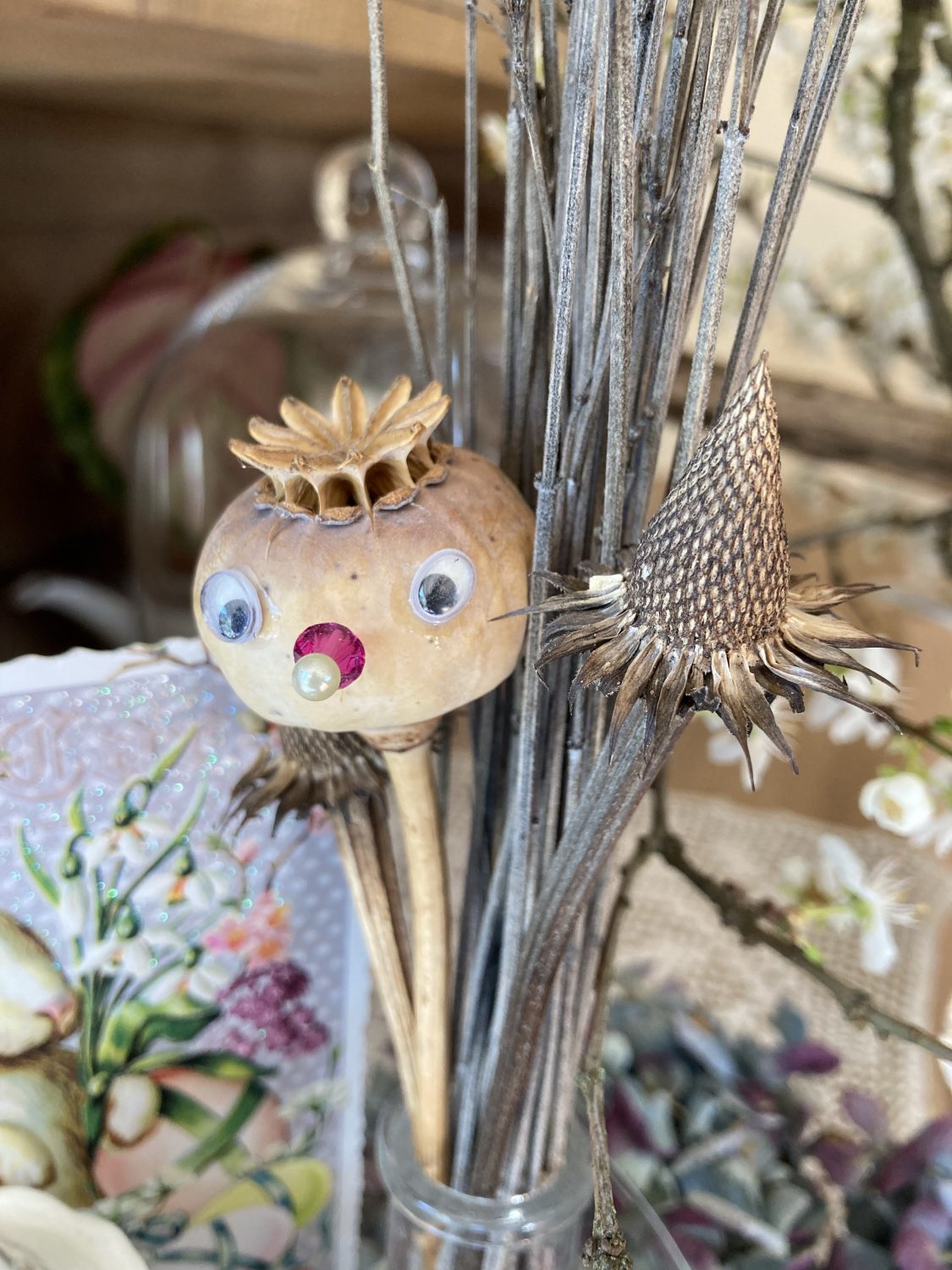 Mohn Vielfalt im Rasenbeet | Blumen Wiese im Hausgarten